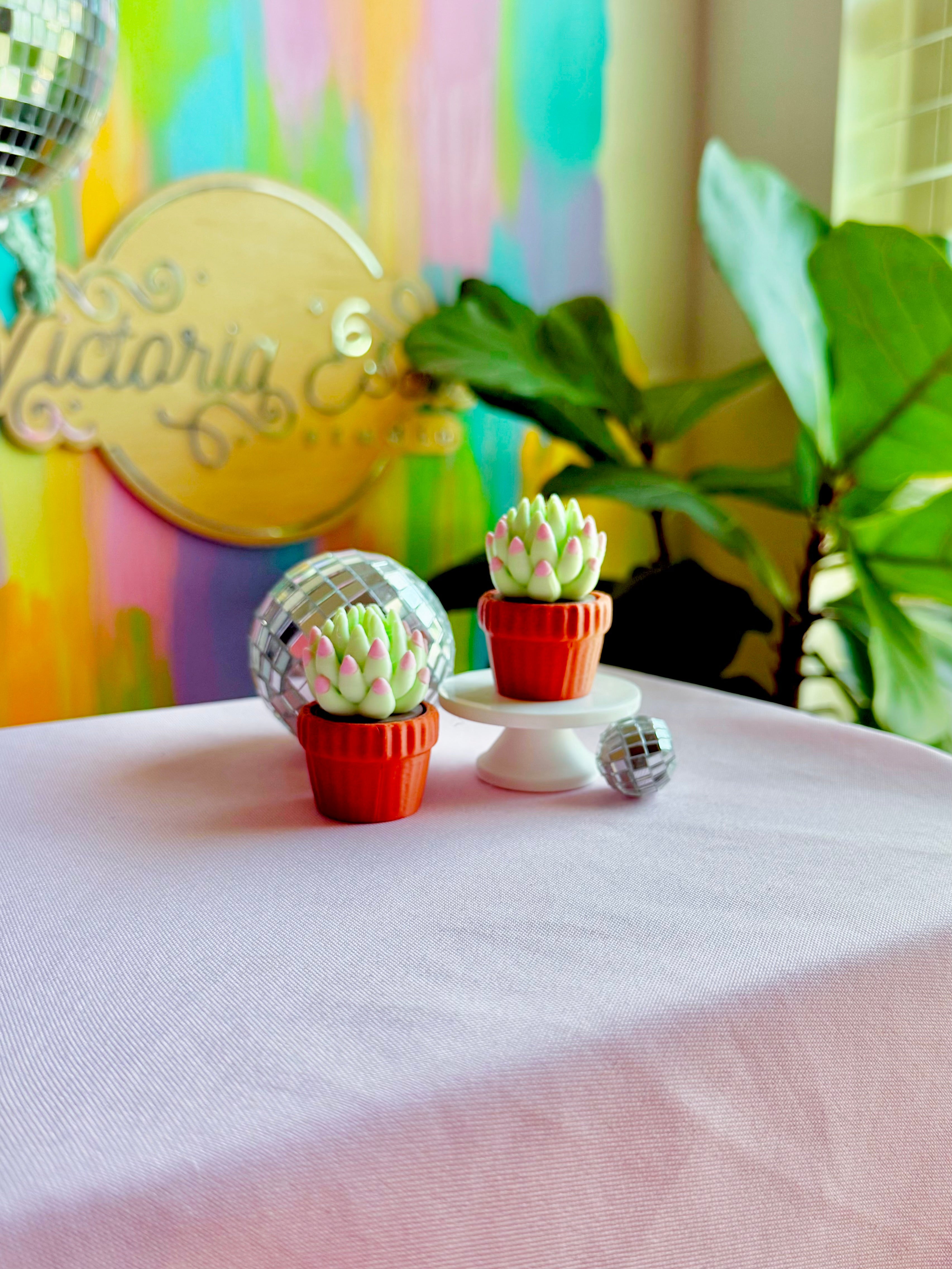 Plant & Flower Fidgets - Nature & Botanical Themed Toys | Victoria ...
